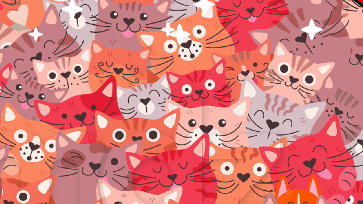 Acertijo visual: solo las personas con vista de halcón logran ver al ...