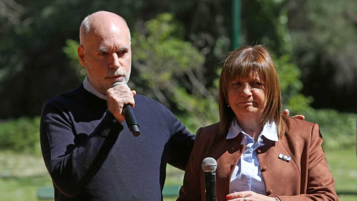 Dios, qué tibio: el duro cruce de Patricia Bullrich con Horacio ...