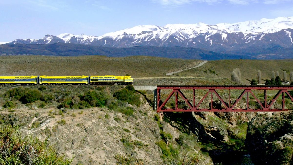 Vuelve a funcionar el tren que une el mar con los Andes: cuánto cuesta un pasaje