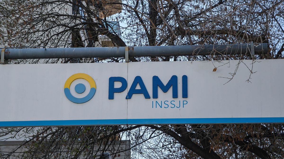 Solo cuatro credenciales de PAMI son válidas en agosto: cómo identificarlas