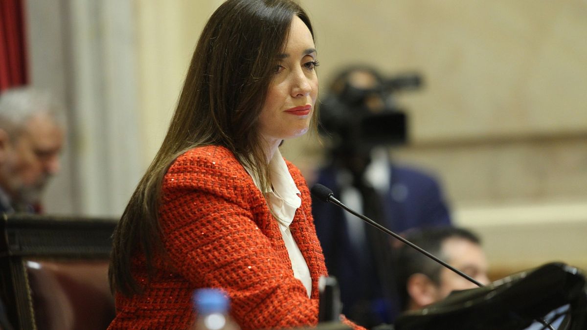 El durísimo mensaje de Victoria Villarruel contra Fabiola Yañez: Perdón ...
