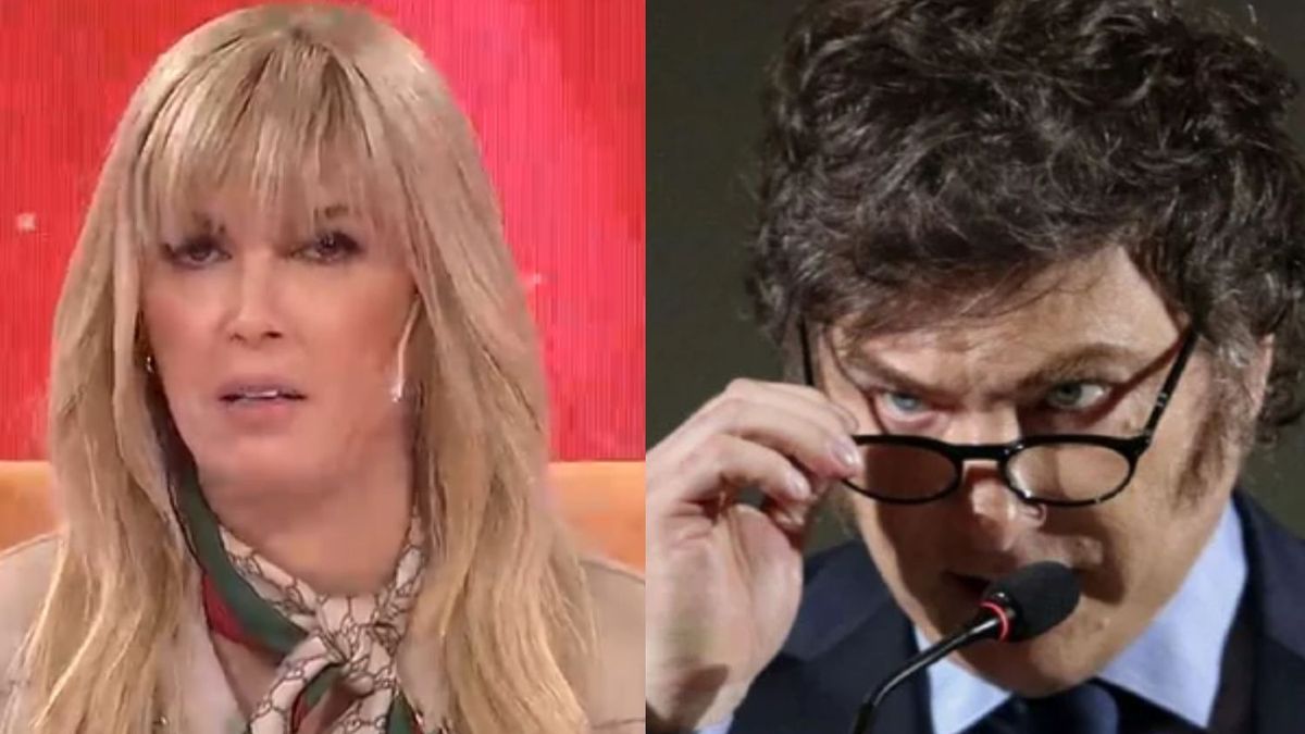 Explotó todo: Javier Milei se metió en la polémica de Viviana Canosa y ...