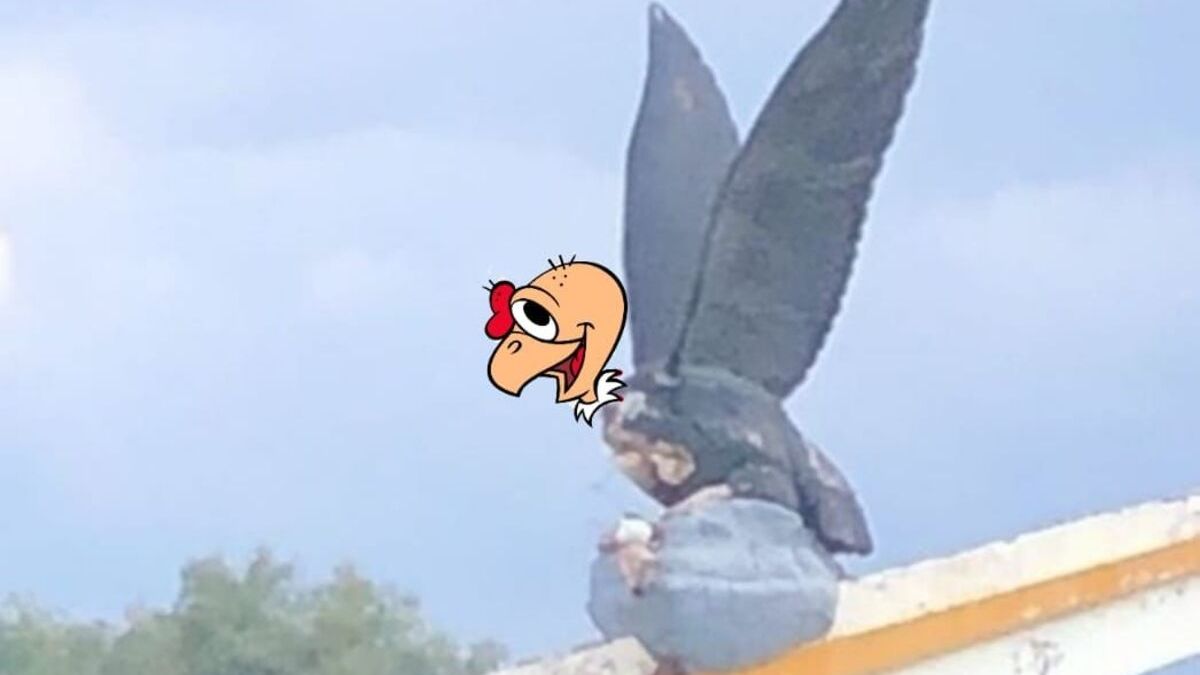 Al mal tiempo, buen humor: los memes por la destrucción de El Cóndor