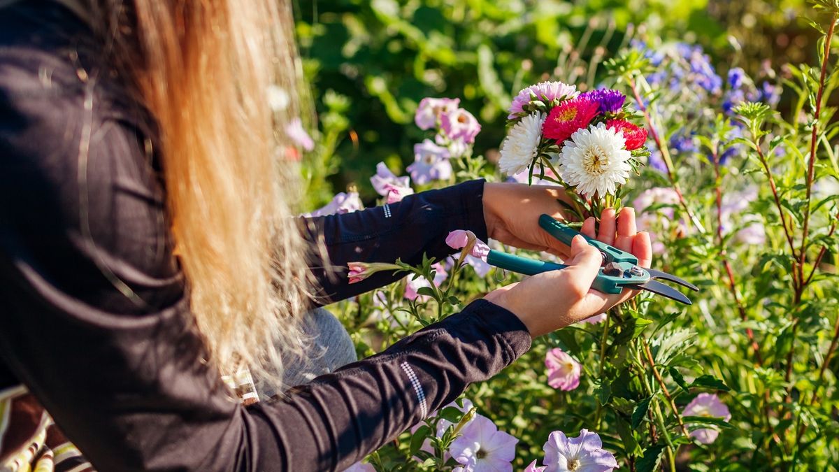 Convierte tu jardín en un edén con este fertilizante casero