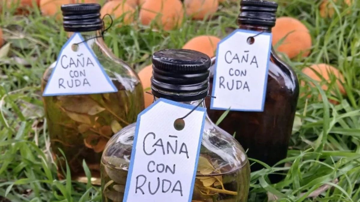 Tomar caña con ruda hoy trae suerte: el paso a paso para prepararla