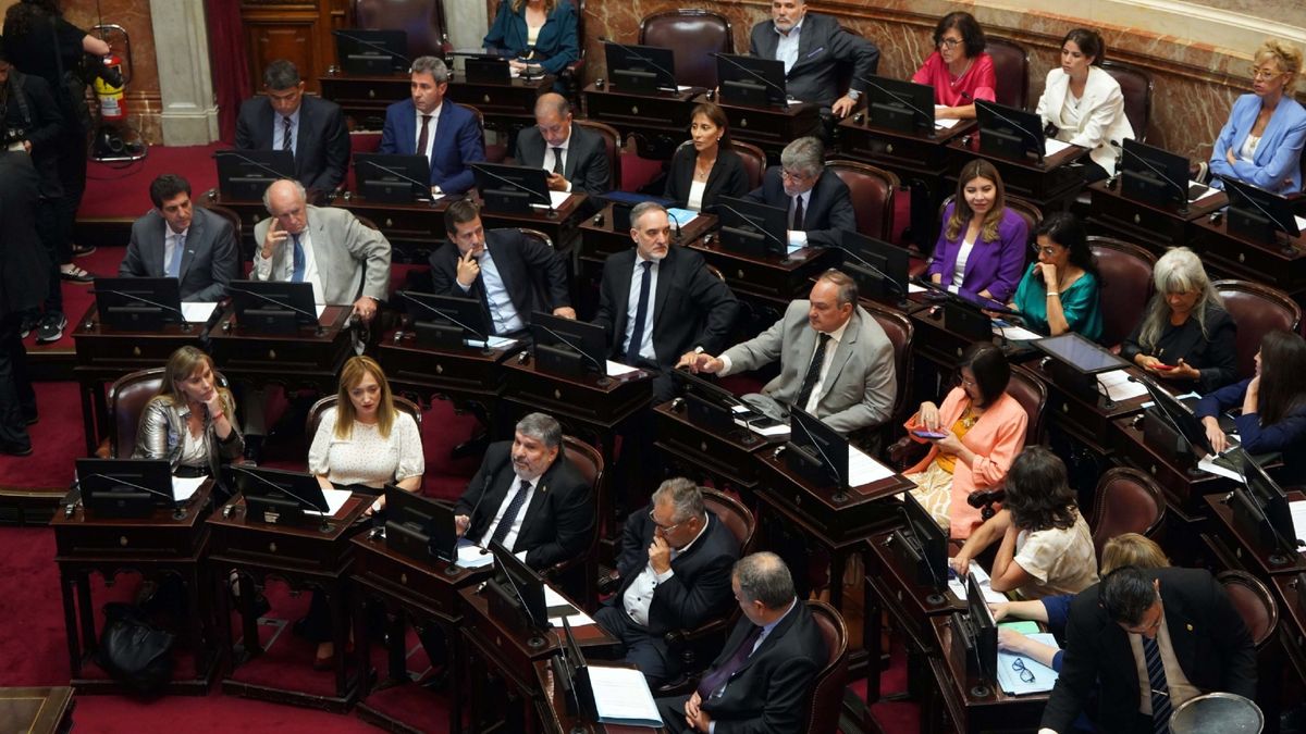Dietazo en el Senado: La Libertad Avanza fue cómplice en un aspecto importante