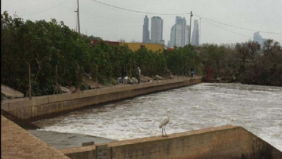 Conocé cómo es la Isla Demarchi donde se ubicará el Polo Audiovisual