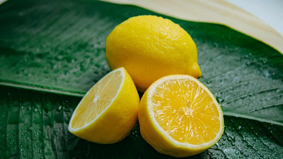 Día mundial del limón: el dato que no sabías sobre su importancia y ...