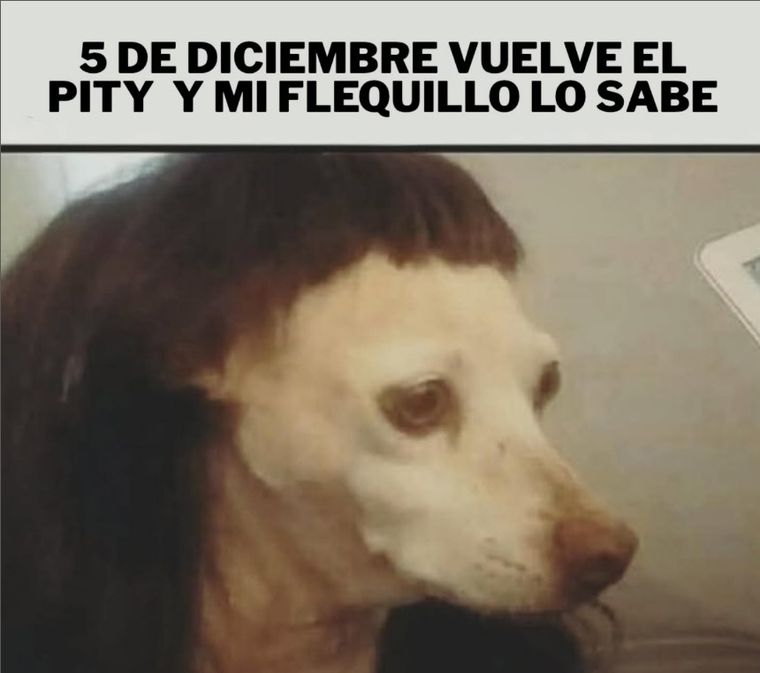 Lo más: el regreso del Pity Álvarez a Vélez desata una ola de memes